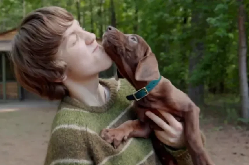 Scooby-Doo ganhará série live-action na Netflix com cachorro real no ...